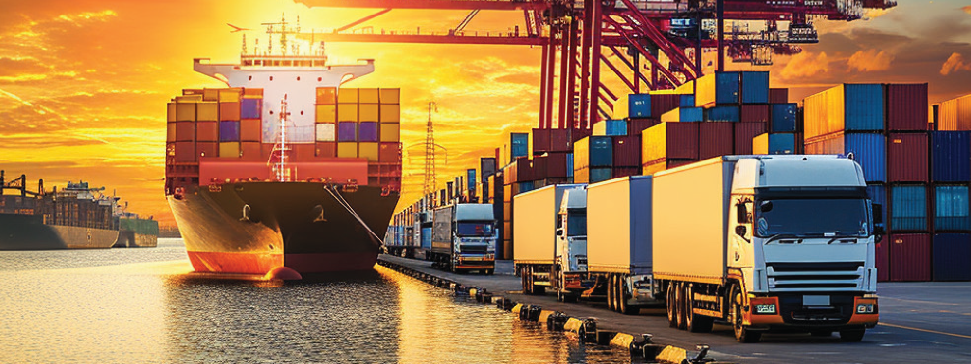 Trade Catalyst Africa – Catalysing African Trade for Prosperity